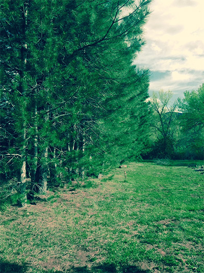 Von Bock Farm – Lori Faye Bock