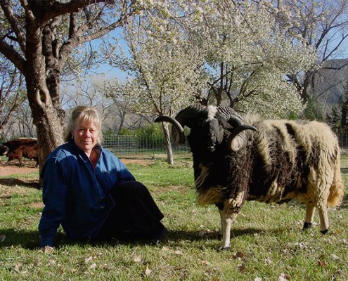 Von Bock Farm – Lori Faye Bock